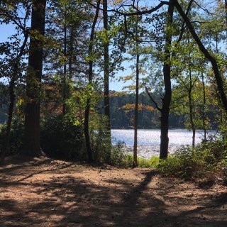 Daingerfield State Park - Daingerfield, Texas - RV LIFE Campground Reviews